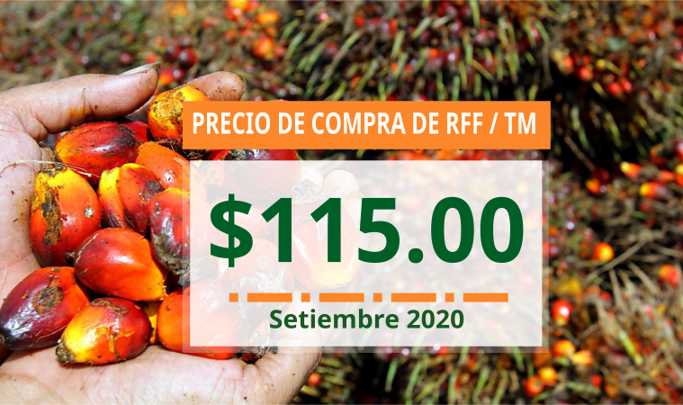 Olpesa - OLEGINOSAS DEL PERÚ S.A | OLEGINOSAS DEL PERÚ S.A